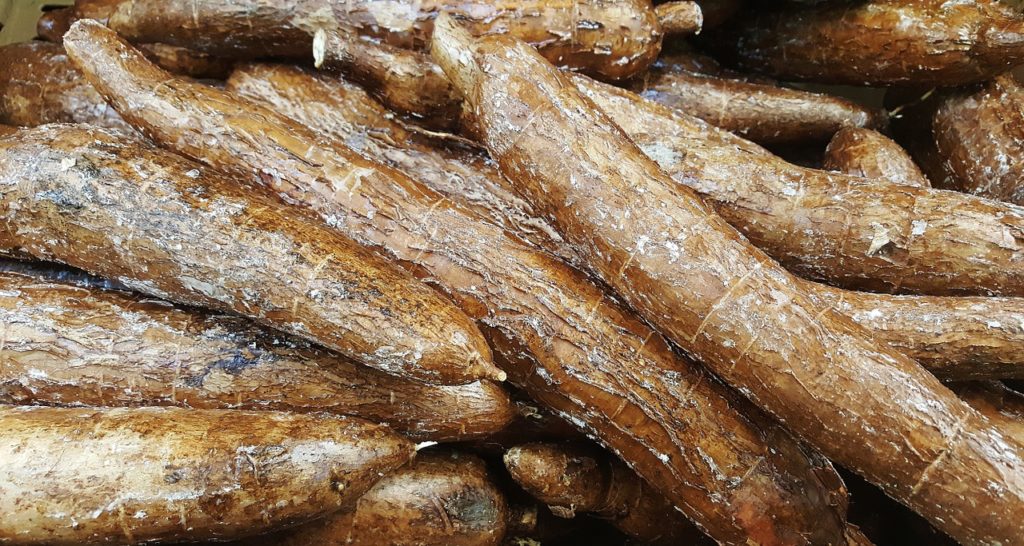 Getting to Know Yuca (Cassava) – Crazy For Yuca